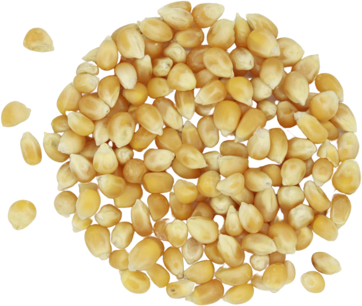 Liese Lose - Popcornmais